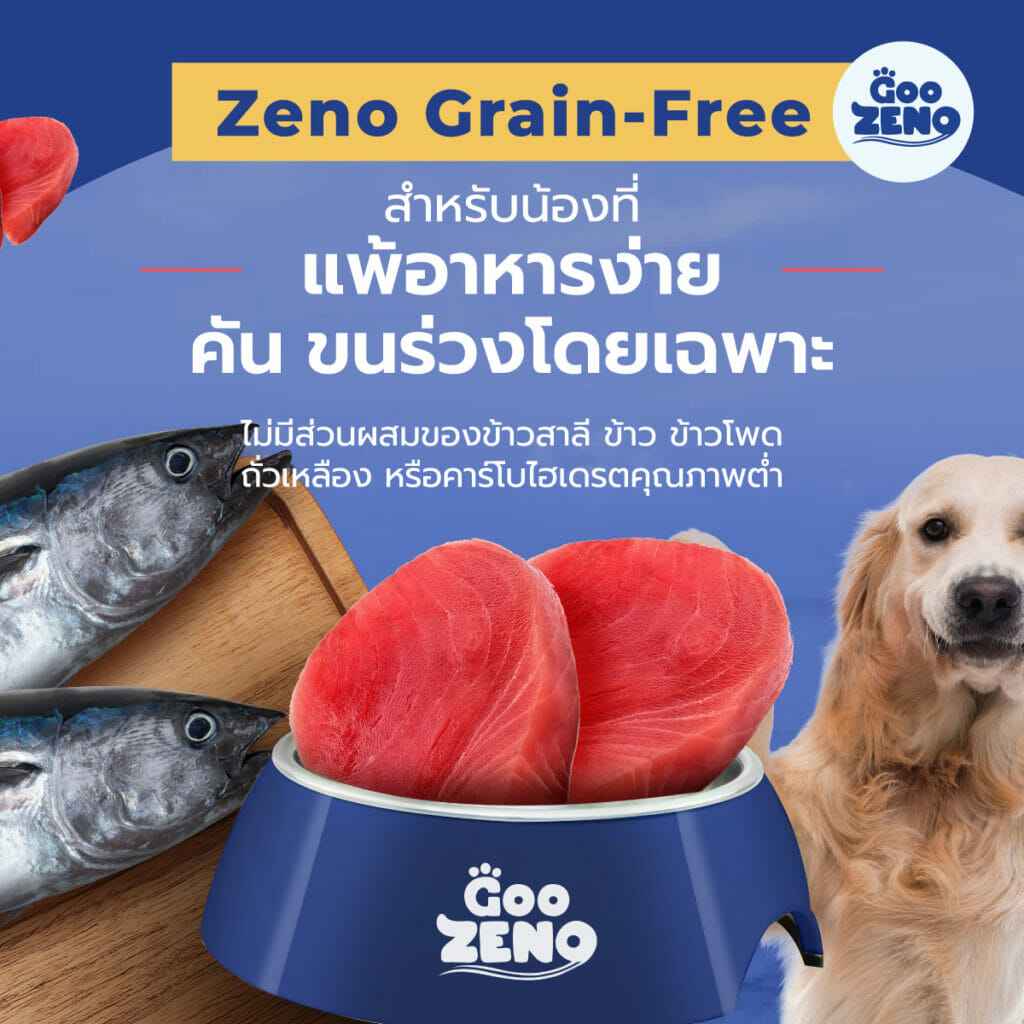 ZENO ADULT 7+ GRAIN FREE สูตรสุนัข 7 ปี+ - Zeno