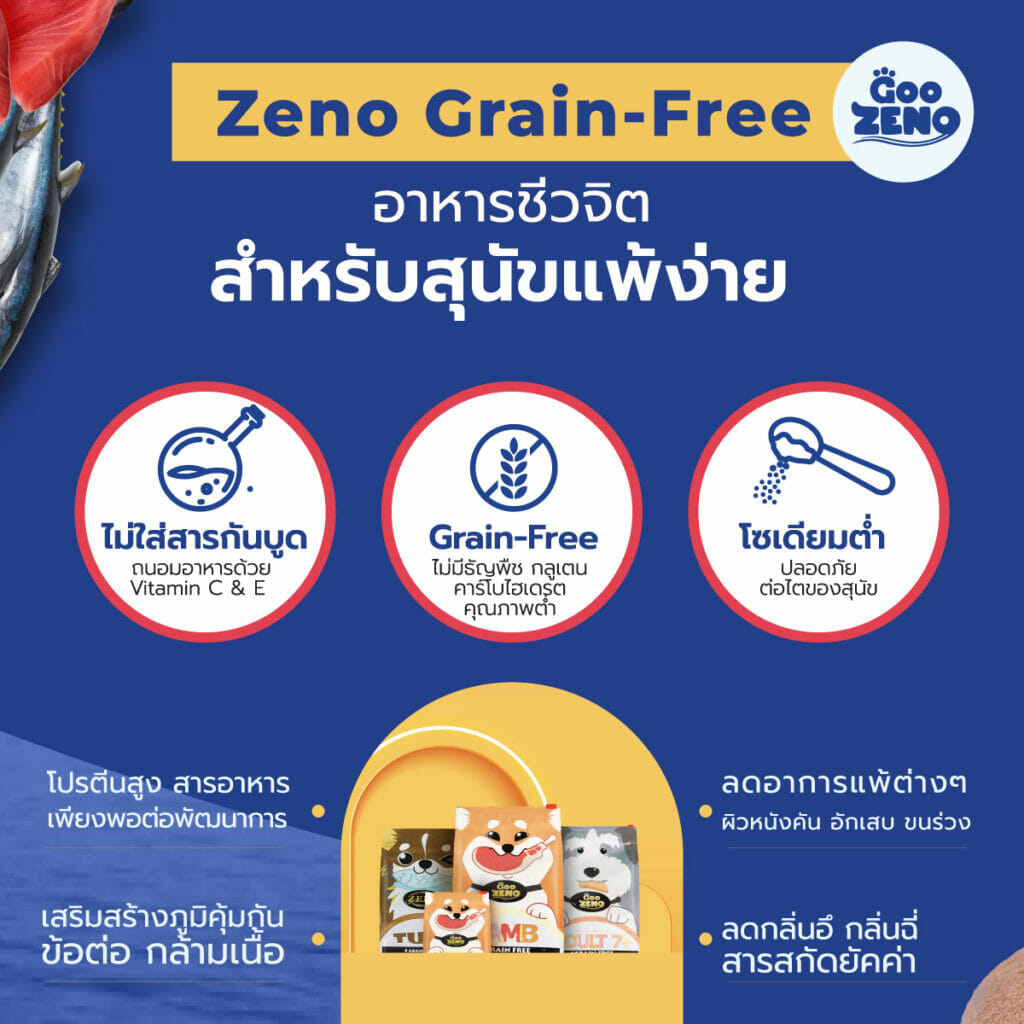ZENO ADULT 7+ GRAIN FREE สูตรสุนัข 7 ปี+ - Zeno